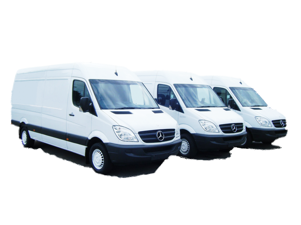 jl-pest-control-brighton | JL Pest Control